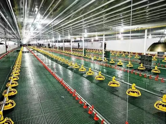 Automatic Feeding System Feed Pan Wire Switch Use in Poultry Farm ...